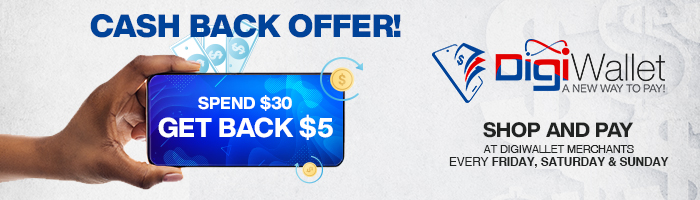 DigiWallet - Safe, Easy & Secure Mobile Wallet Solution