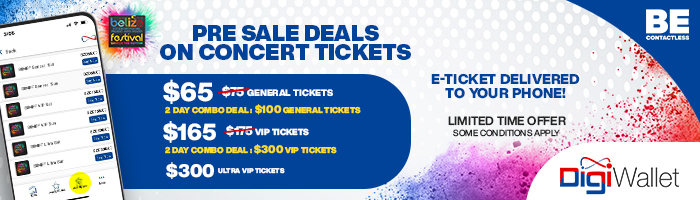 DigiWallet - Safe, Easy & Secure Mobile Wallet Solution